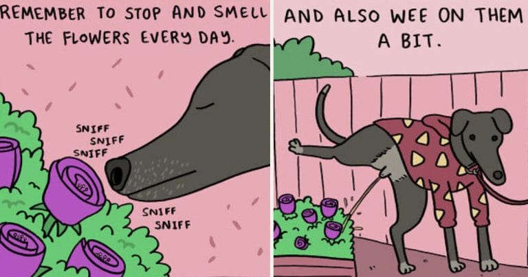 20 Mike Greaney Comics That Will Leave You Surprised (New Pics)