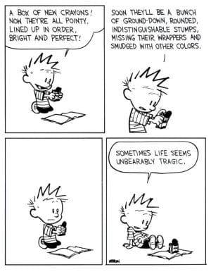 20 Popular Comics From Calvin And Hobbes That Mix Deep Thoughts With ...