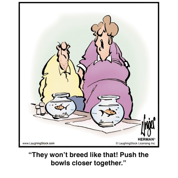 40 Hilarious Herman Cartoons That Prove Jim Unger Is A Comic Genius