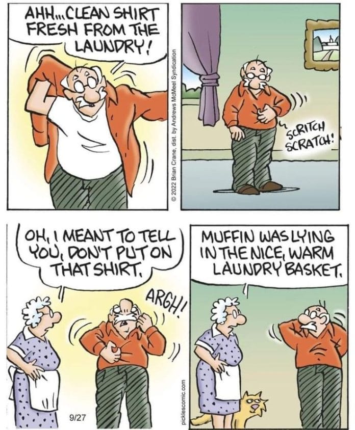 20 Hilarious And Relatable Humorous Aging Cartoons That Nail Senior Life