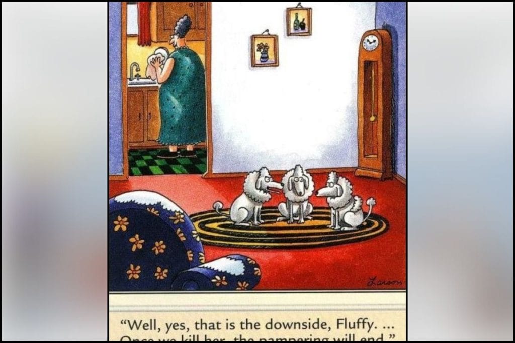 20 Classic Dark Humor Cartoons By Gary Larson That Go Too Far In The ...