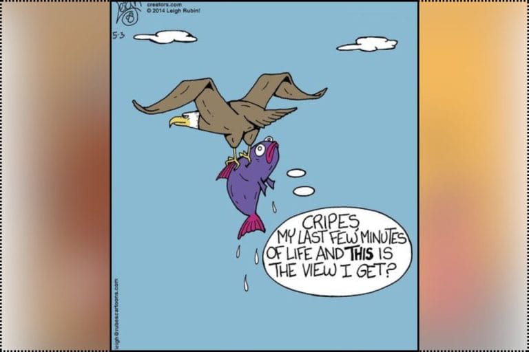 10 Hilarious Funny Cartoons By Leigh Rubin That’ll Brighten Your Day ...