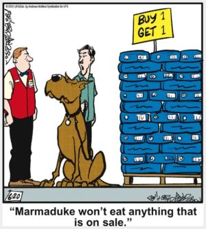20 Hilarious Funny Dog Cartoons That Prove Marmaduke Is Top Dog