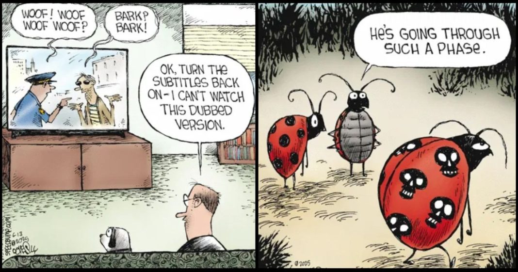 20 New Funny Cartoons That Perfectly Capture Everyday Struggles