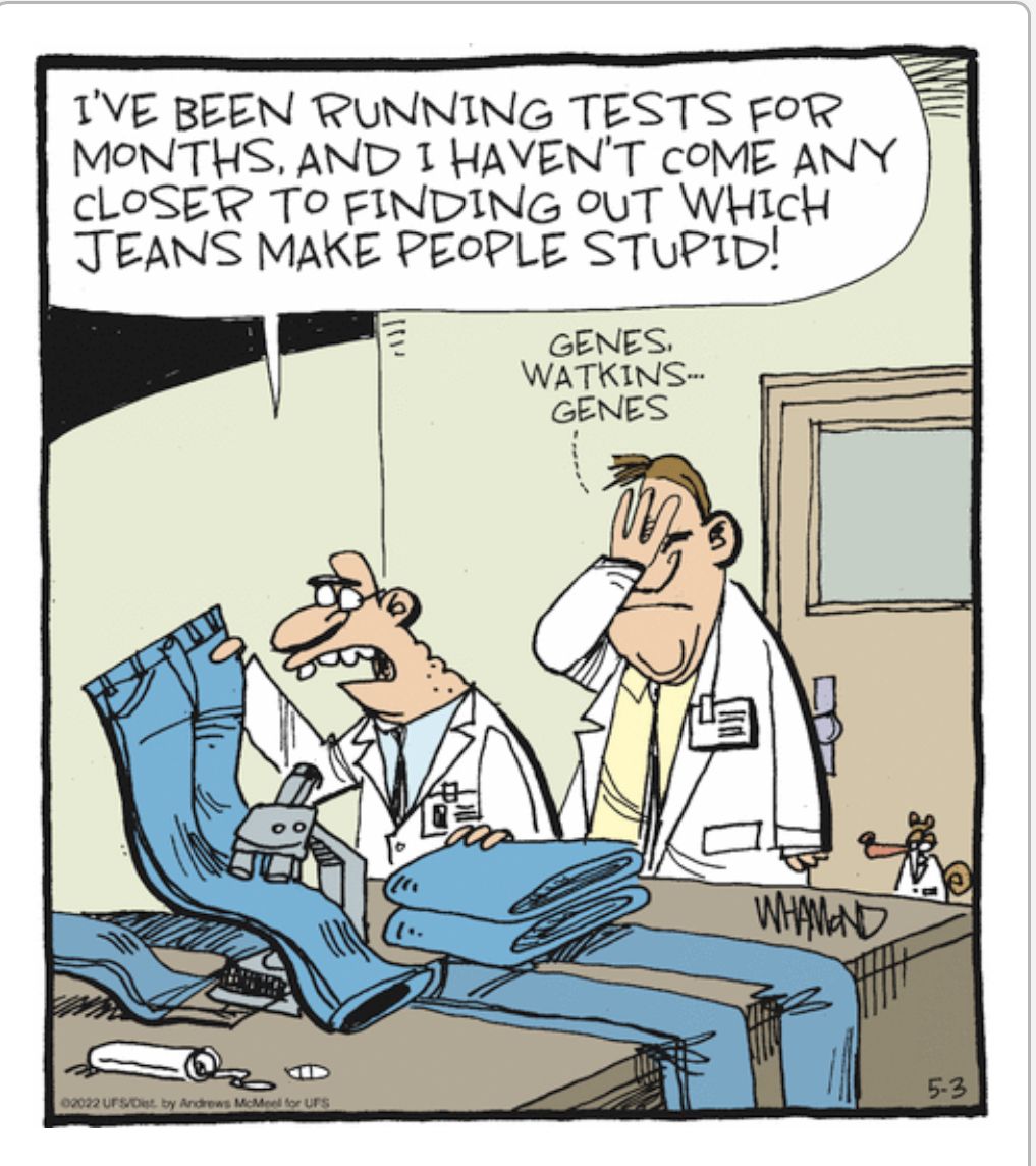 20 Top Funny Cartoons That Will Keep You Laughing All Week