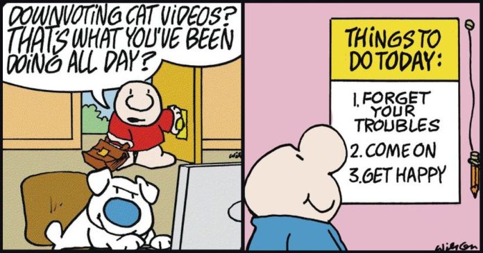20 Best Ziggy Comics Review The Ultimate Dose Of Classic Cartoon Wisdom
